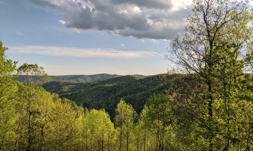 2016-2018 Grants – Shared Visions