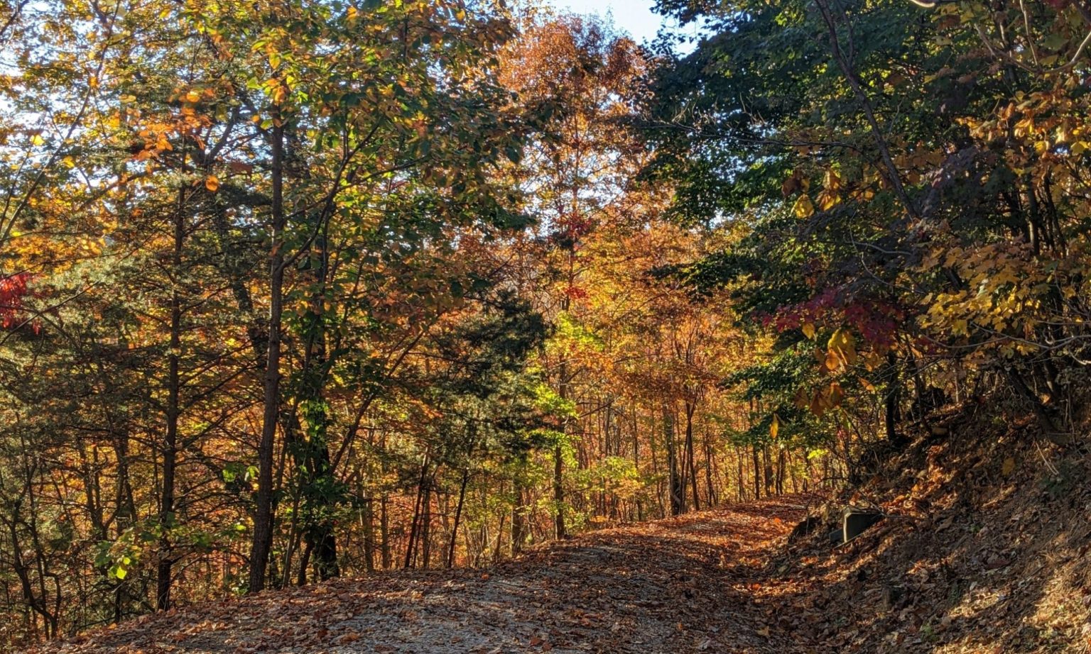 2022-2023 Grants – Shared Visions