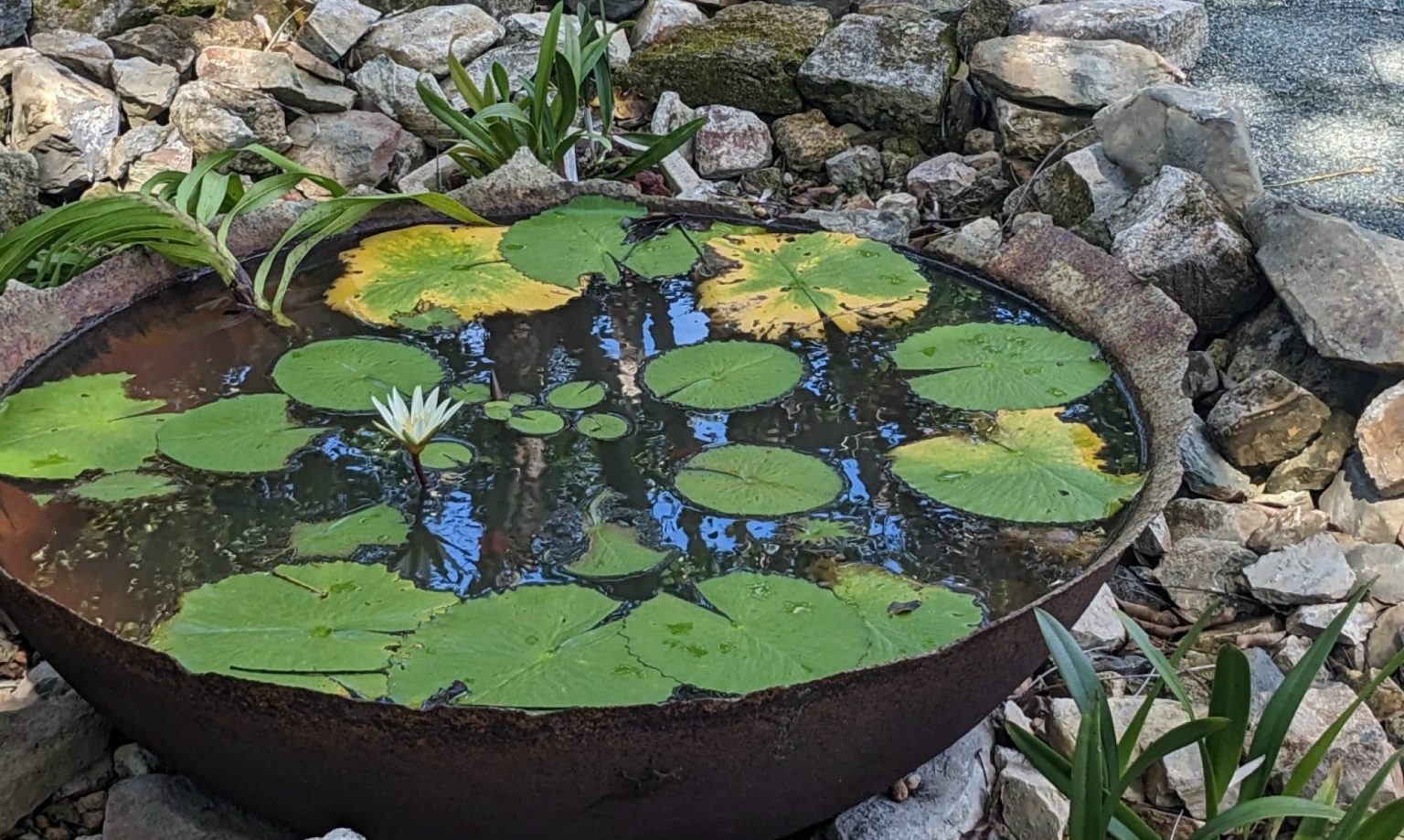 Who We Are – Shared Visions