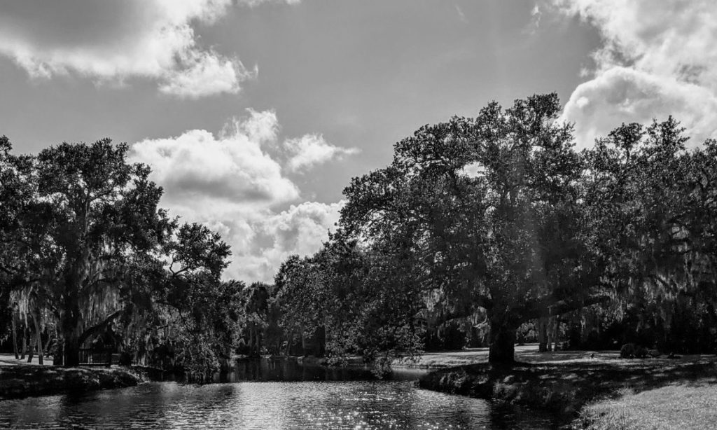 2019-2021 Grants – Shared Visions