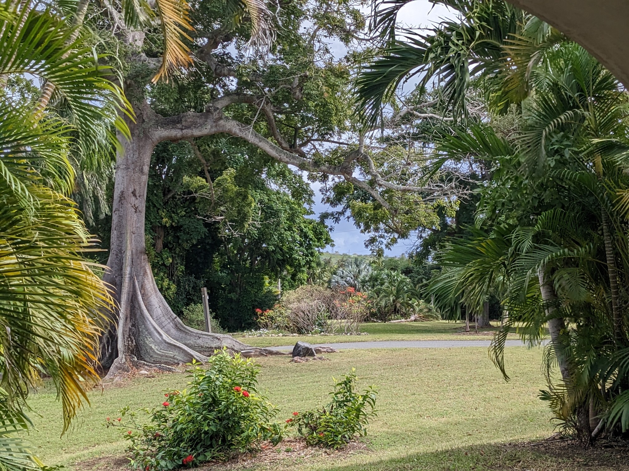 International Work – Shared Visions